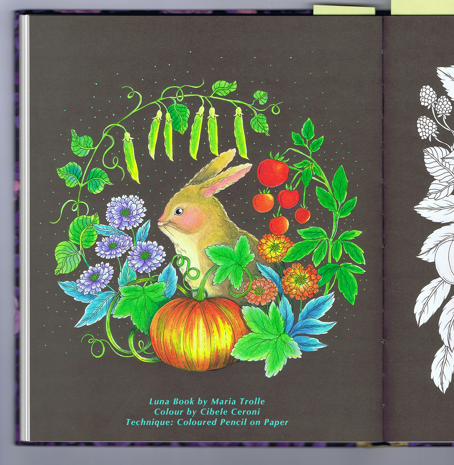 Green Garden & Derwent Pencils – The Colouring Times
